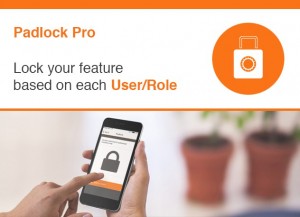 Padlock Pro – Lock your feature based on each User/Roles